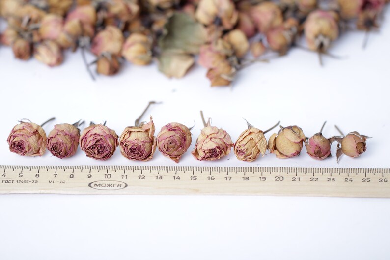 Rosebud Natural Dried Aged Roses Dried Tiny Rose Rose Color - Etsy