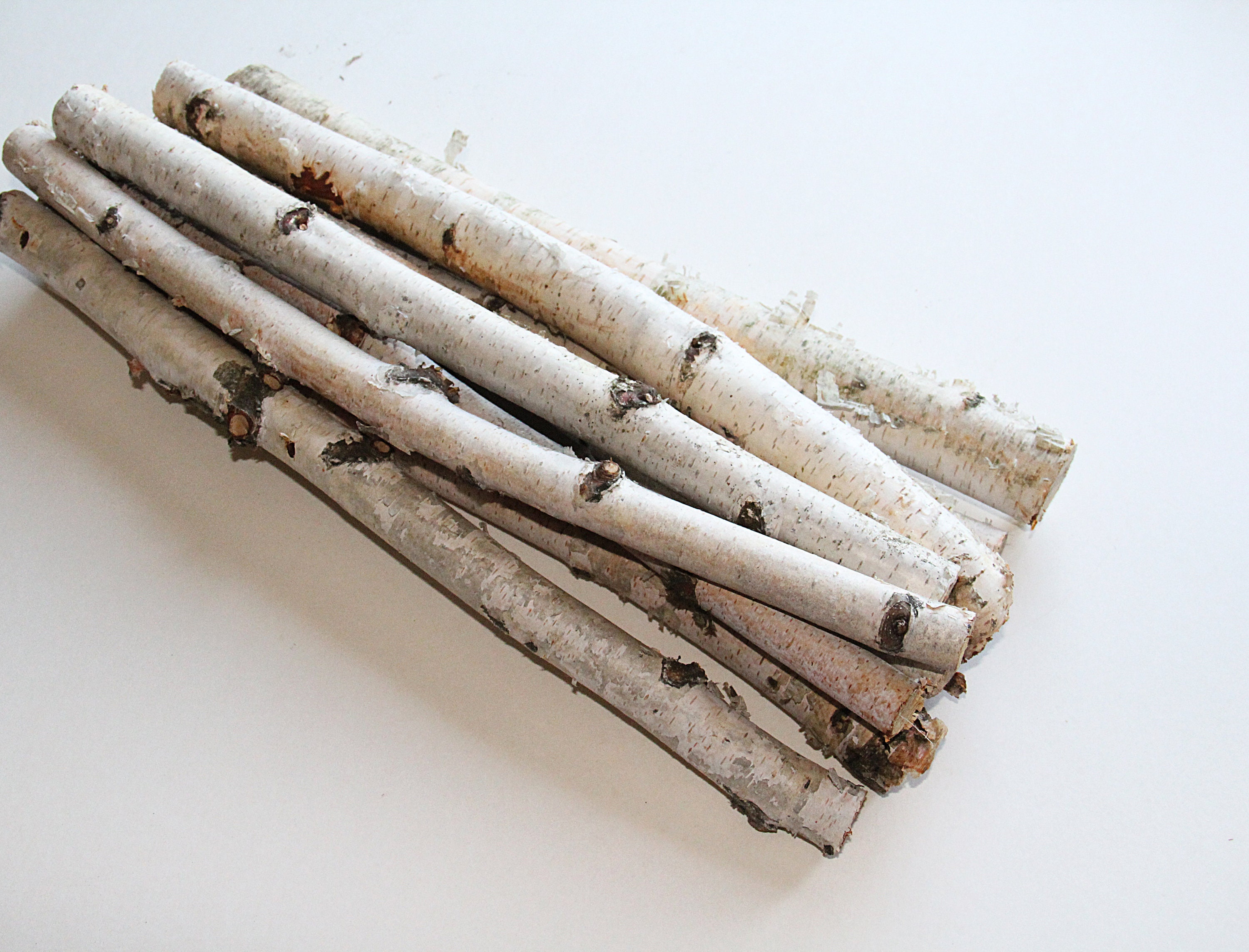 Birch Tree Sticks Birch Tree Wood Birch Tree Art Set of 4 - Etsy UK