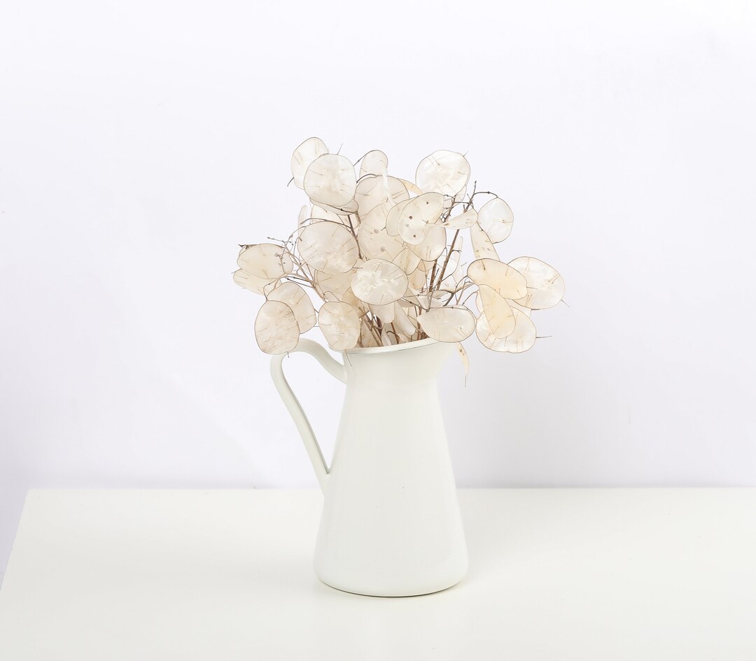 10 Short Branches Lunaria Dried Flowers Money Plant Lunaria Biennis ...