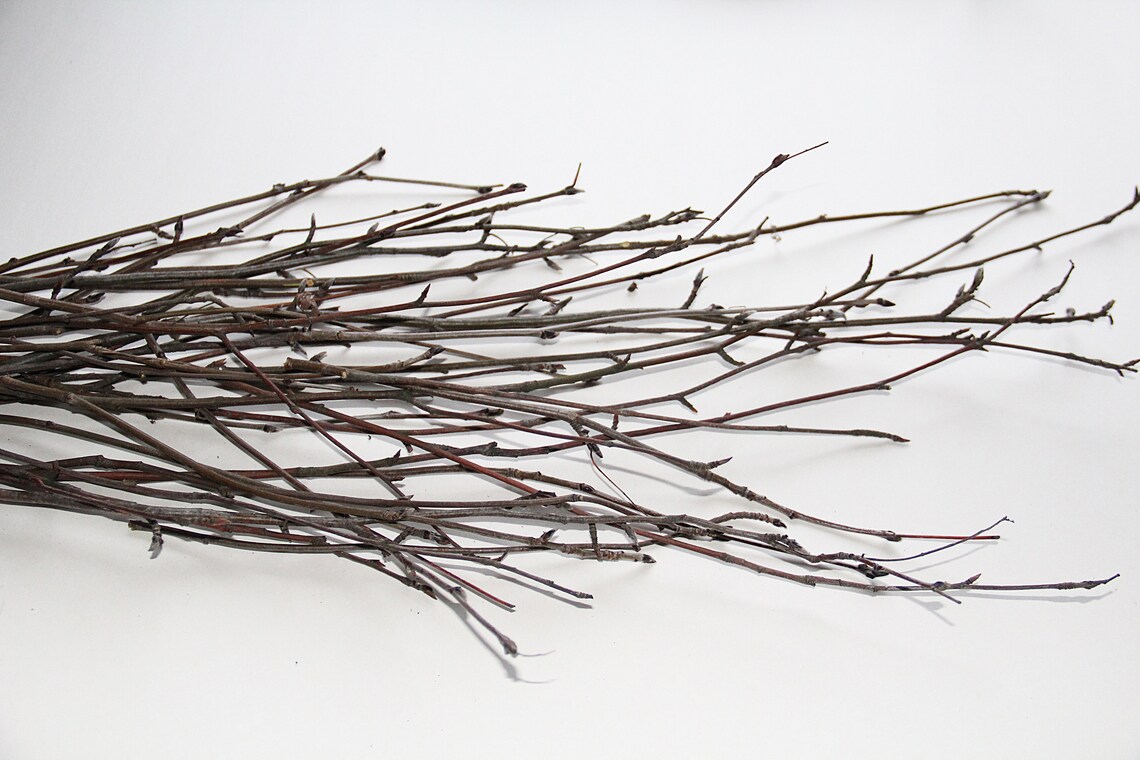 LONG rowan branches rowan tree art set of 10 dried rowan | Etsy