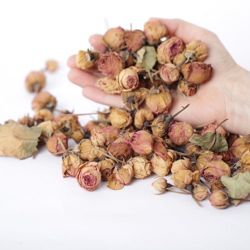Rosebud Natural Dried Aged Roses Dried Tiny Rose Rose Color - Etsy