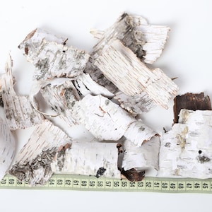 BIRCH BARK, Birch Bark Sheets, Birch Sheets Craft, Birch Pieces, Birch ...