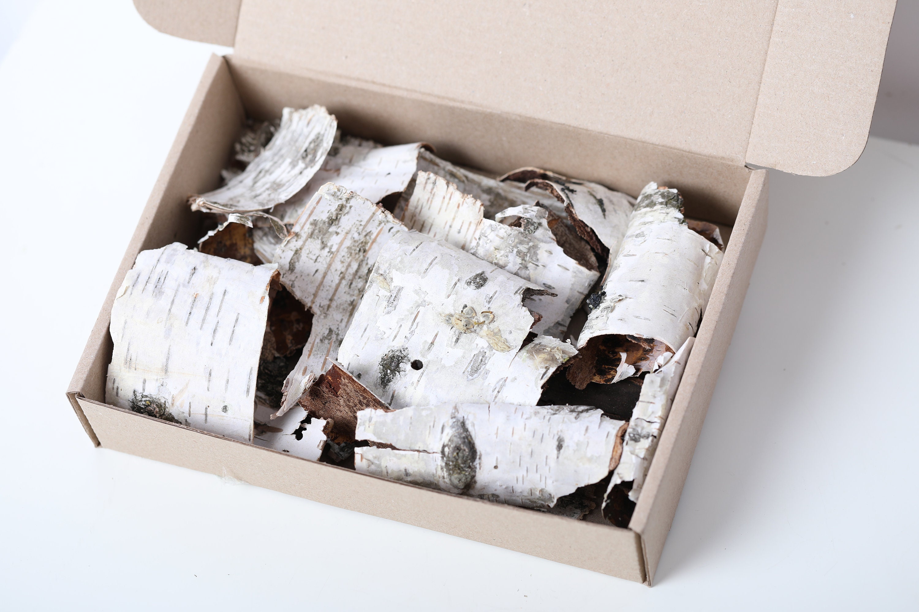 BIRCH BARK, Birch Bark Sheets, Birch Sheets Craft, Birch Pieces, Birch ...