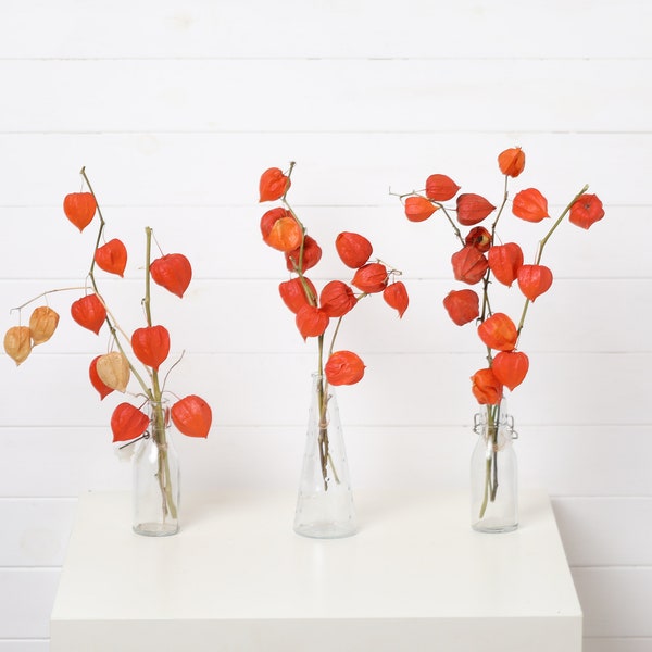 Rustic Natural Lantern - Etsy