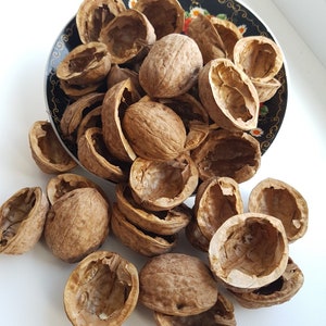 Organic Natural Walnut Shell Halves Round Natural Light Walnut Halves ...