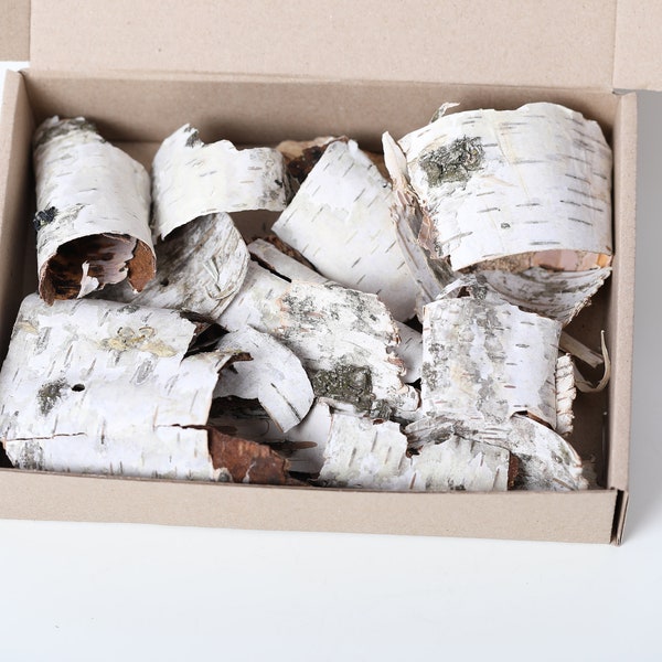 Birch Bark Sheets - Etsy