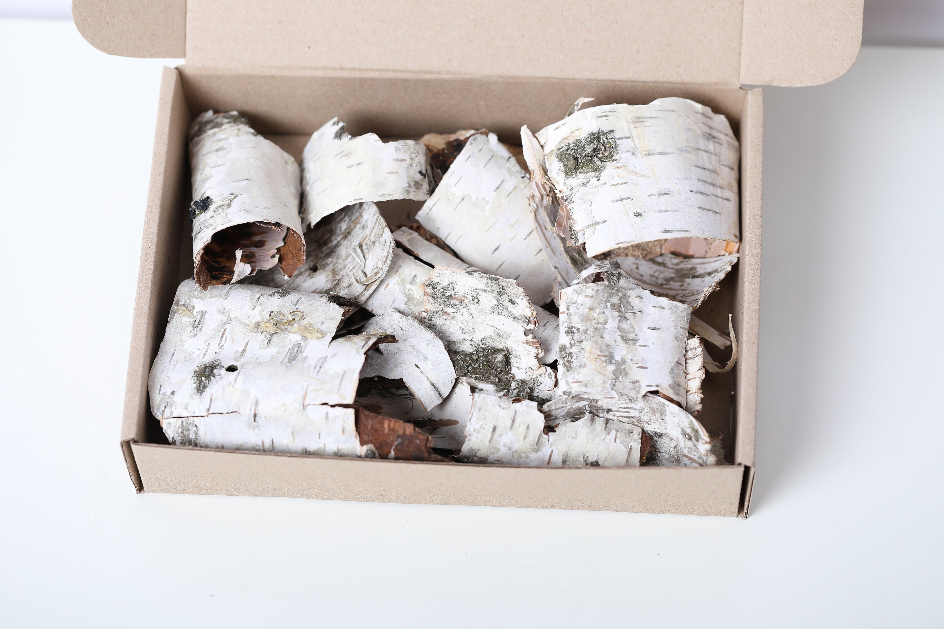 BIRCH BARK, Birch Bark Sheets, Birch Sheets Craft, Birch Pieces, Birch ...