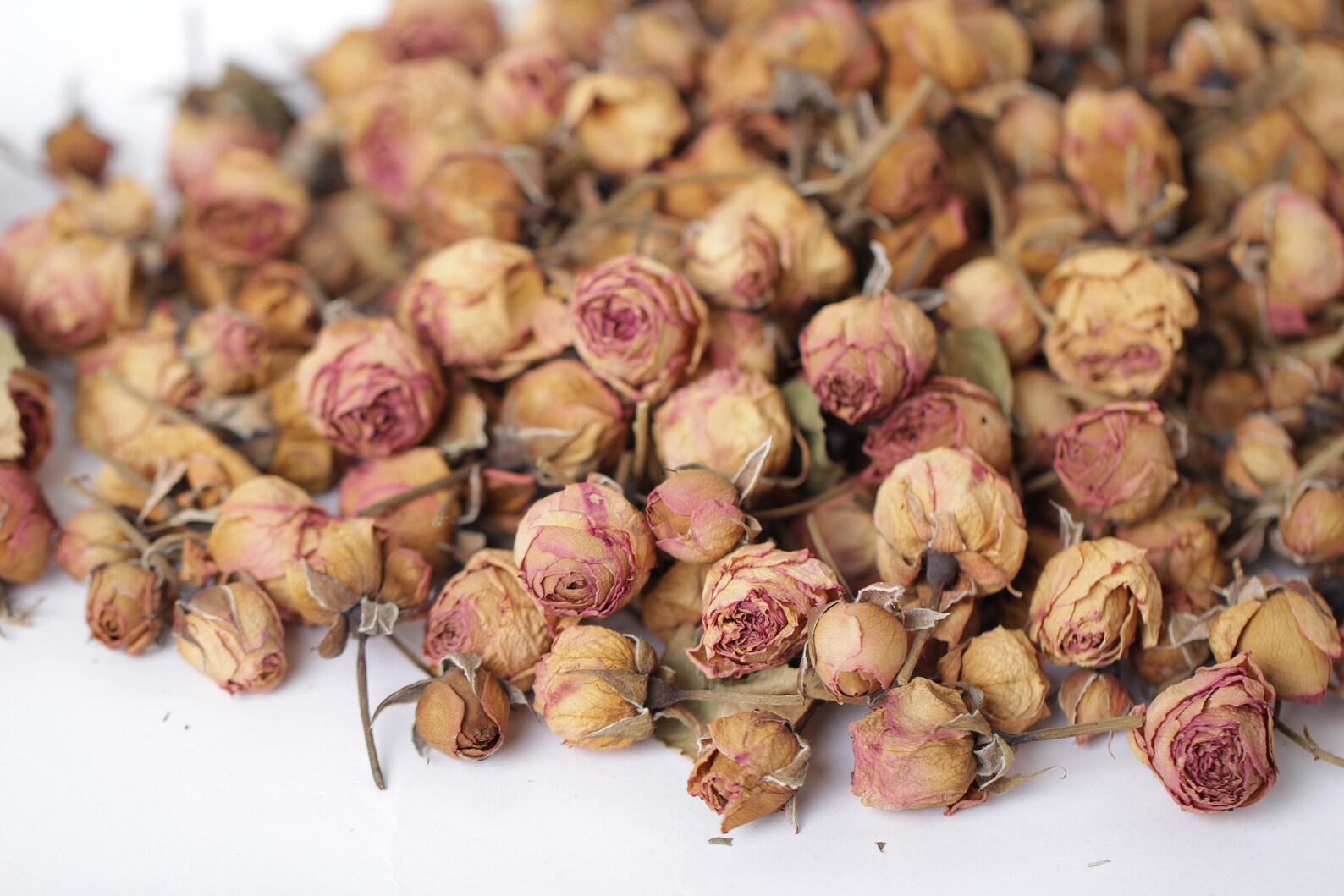 Rosebud Natural Dried Aged Roses Dried Tiny Rose Rose Color | Etsy