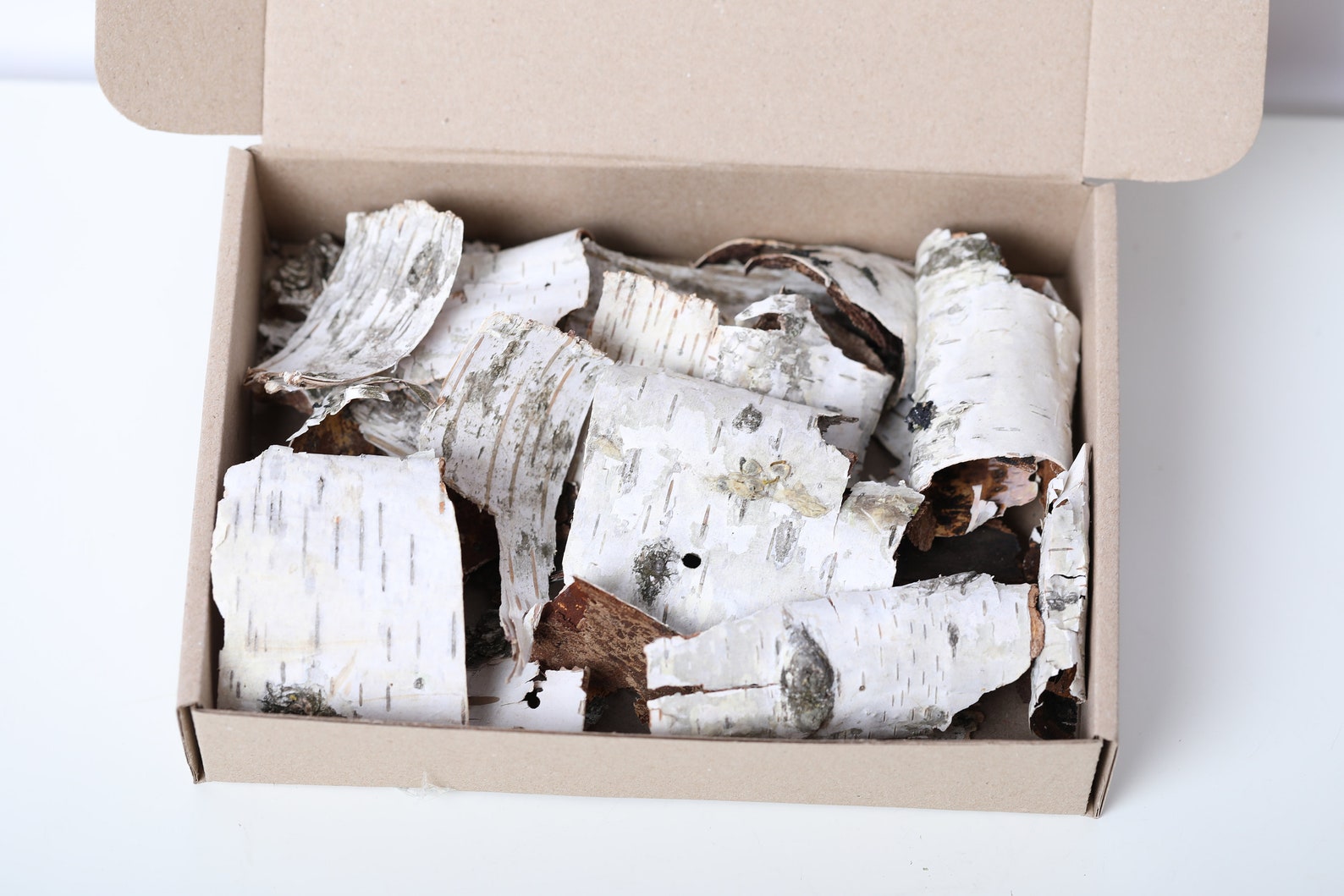 BIRCH BARK, Birch Bark Sheets, Birch Sheets Craft, Birch Pieces, Birch ...