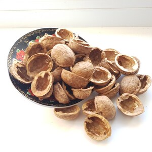 Organic Natural Walnut Shell Halves Round Natural Light Walnut Halves ...