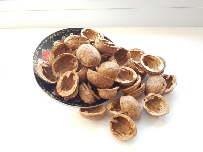Organic Natural Walnut Shell Halves Round Natural Light Walnut | Etsy