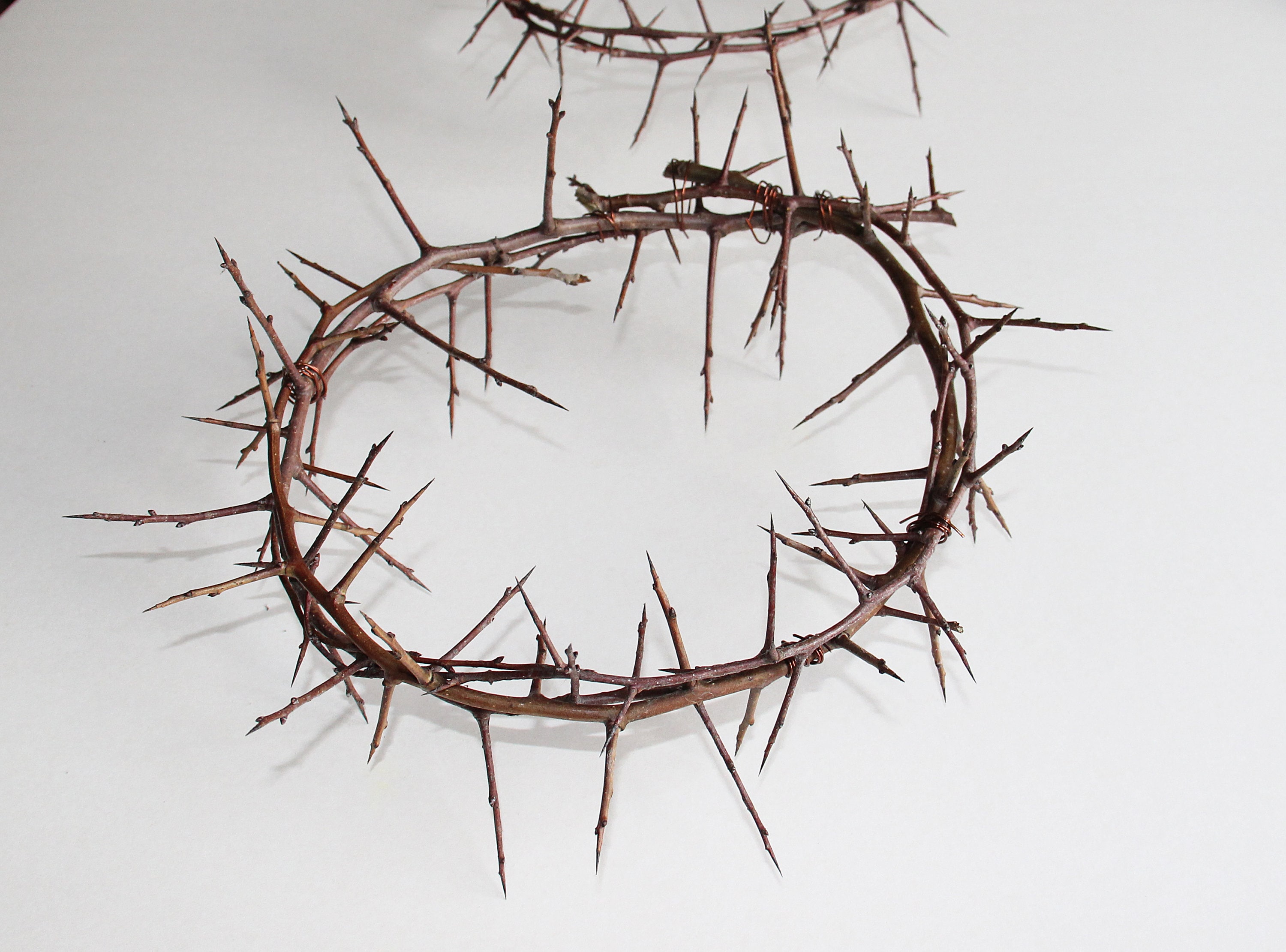 Thorn Crown Natural Thorn Wreath Thorn Hoop - Etsy