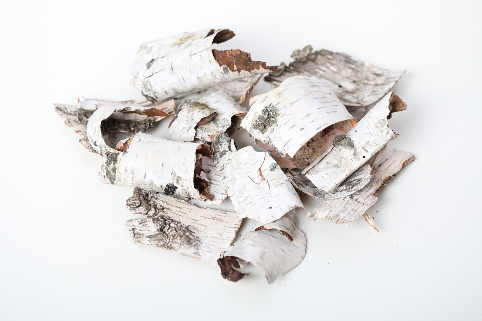 BIRCH BARK, Birch Bark Sheets, Birch Sheets Craft, Birch Pieces, Birch ...