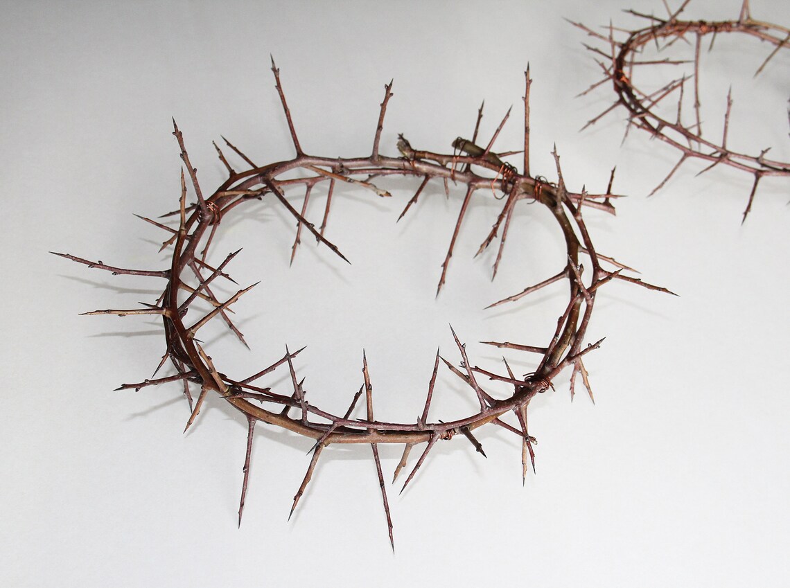 Thorn Crown Natural Thorn Wreath Thorn Hoop - Etsy