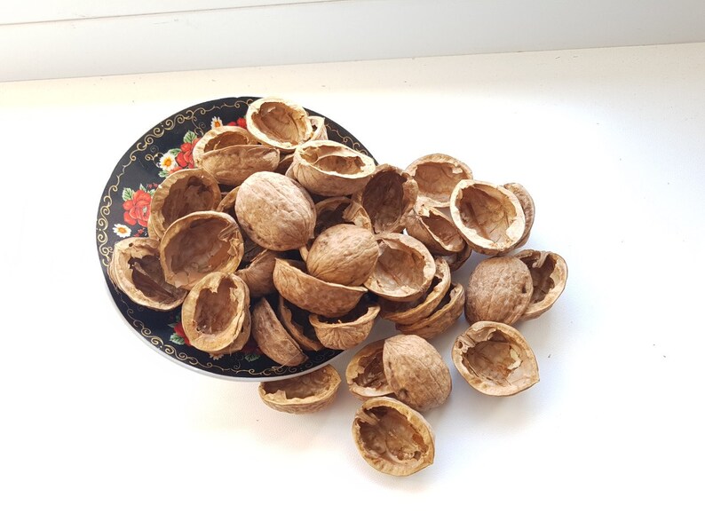Organic Natural Walnut Shell Halves Round Natural Light Walnut | Etsy