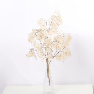 2 Branches Lunaria Dried Flowers Money Plant Lunaria Biennis Silver ...