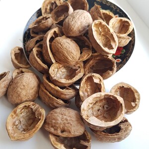 Organic Natural Walnut Shell Halves Round Natural Light Walnut Halves ...
