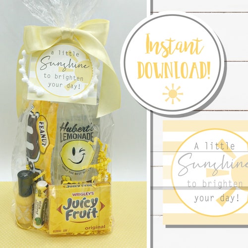 48 Sunshine Box Printable Gift Tags Sunshine Care Package - Etsy