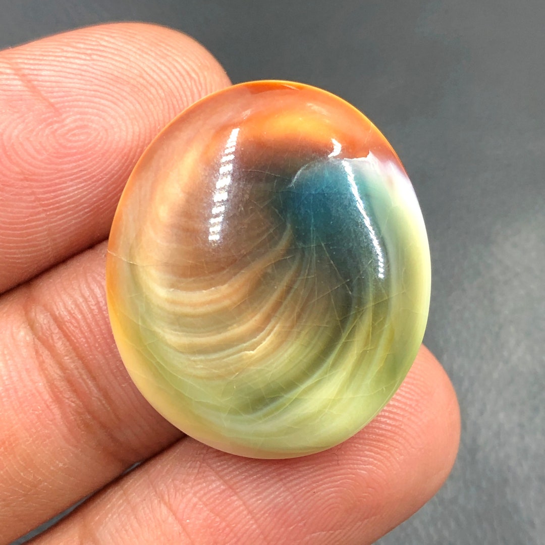 Operculum Shell Cabochon...paua Shell Cabochon...oval Cabochon ...