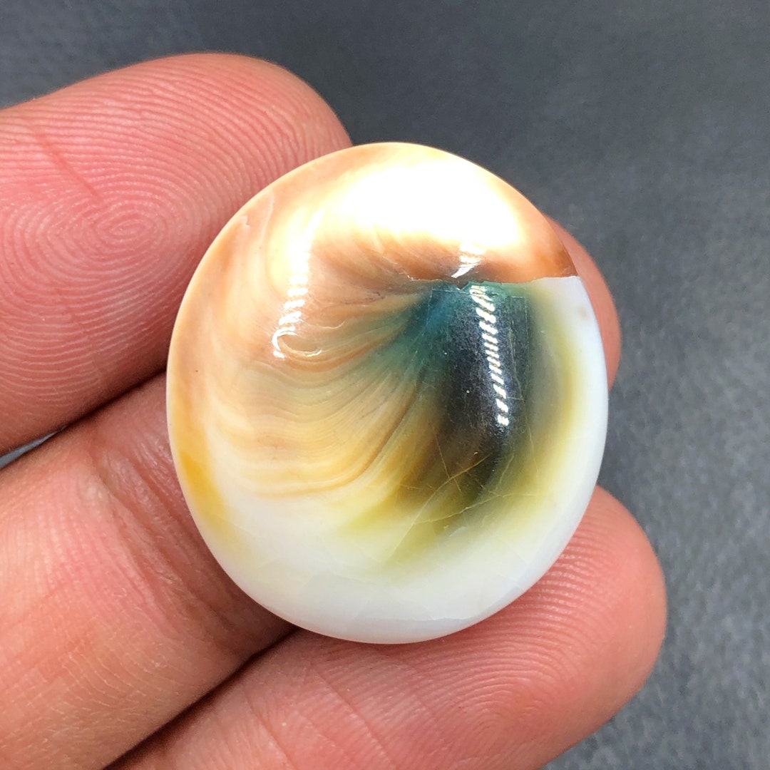 Operculum Shell Cabochon...paua Shell Cabochon...oval Cabochon ...