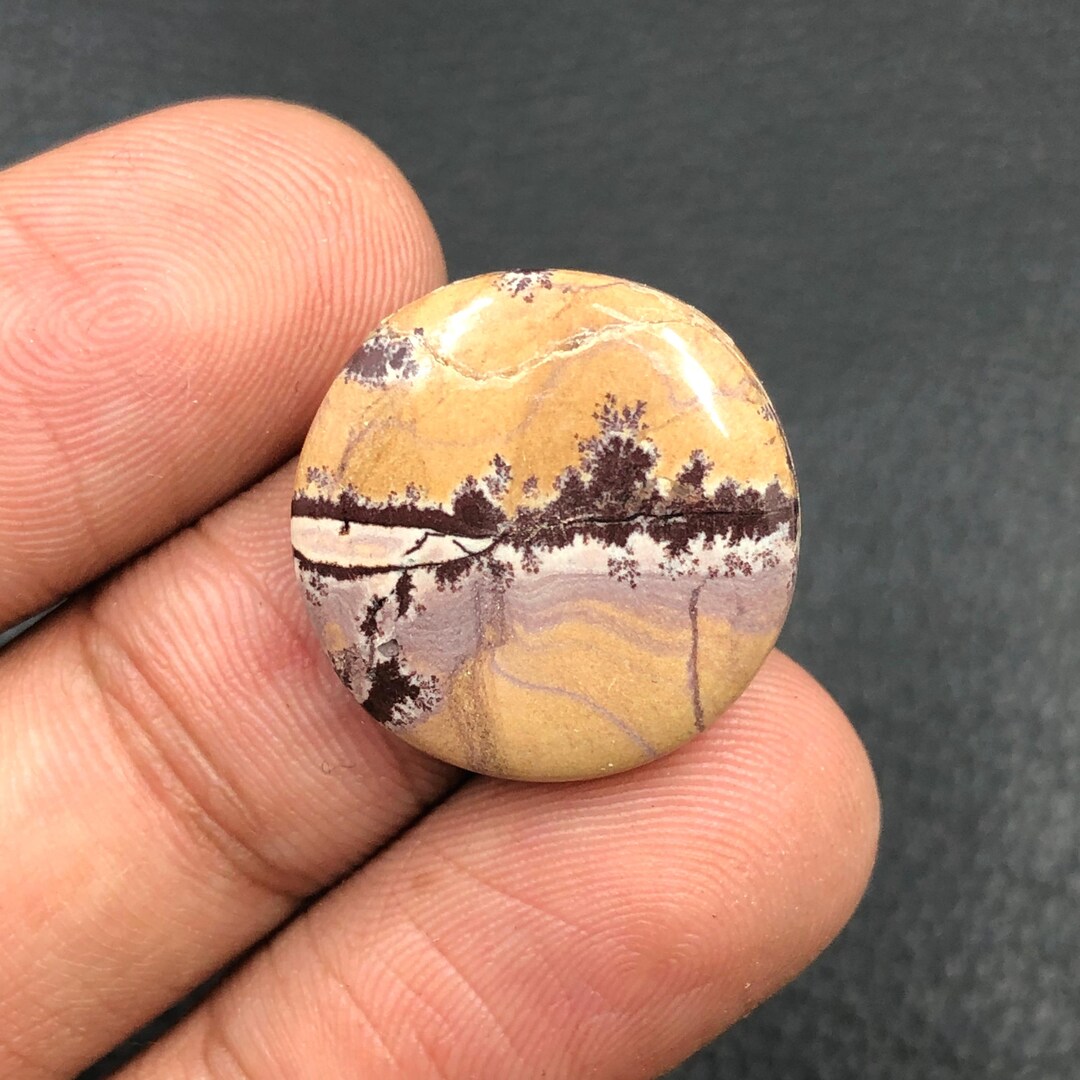 Sonora Dendritic Rhyolite Cabochon... Round Cabochon...19x4 Mm...13 Cts ...