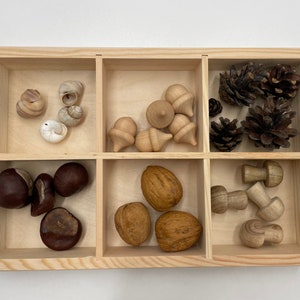 Wood Tray With Dividers, Sorting Tray, Partition Box Tray, Sorting Box ...