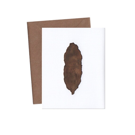 Poop Card Funny Greeting Card Subversive Cards | Etsy