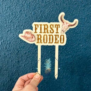 First Rodeo Cake Topper, Western Style Birthday Decor, Western Style ...