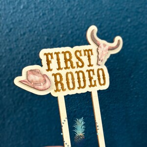 First Rodeo Cake Topper, Western Style Birthday Decor, Western Style ...