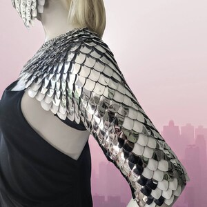 Viking, Dragon, Fairy Scalemail Cosplay Chainmail Renaissance Dress ...