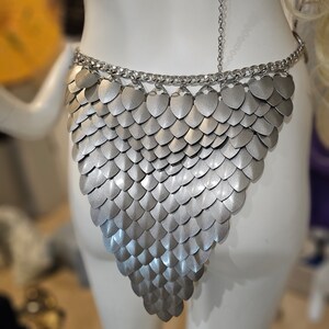 Halloween Viking, Dragon, Fairy Scalemail Cosplay Chainmail Festival ...