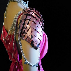 Halloween Viking, Dragon, Fairy Scalemail Cosplay Chainmail Festival ...