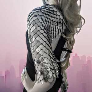 Viking, Dragon, Fairy Scalemail Cosplay Chainmail Renaissance Dress ...