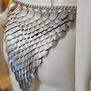 Halloween Viking, Dragon, Fairy Scalemail Cosplay Chainmail Festival ...