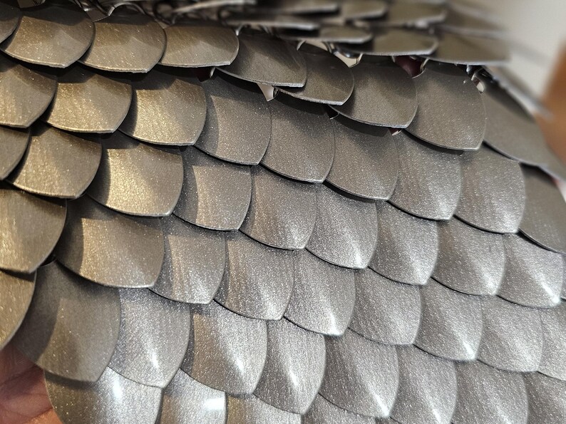 Halloween Viking, Dragon, Fairy Scalemail Cosplay Chainmail Festival ...