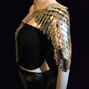 Viking, Dragon, Fairy Scalemail Cosplay Chainmail Renaissance Dress ...