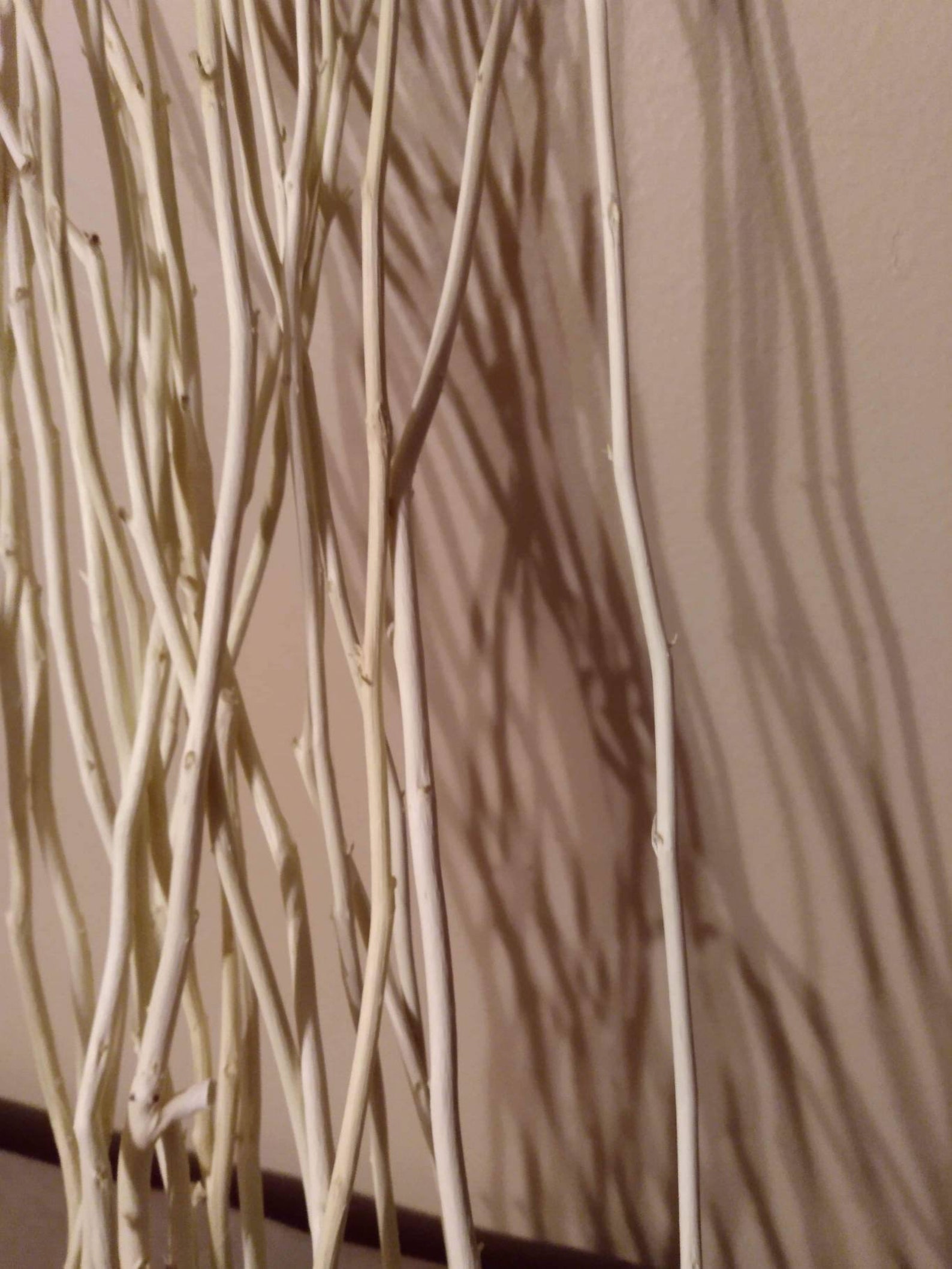 20 Stems, Sticks for Vase, Vase Filler Sticks, Sticks, Sticks for ...