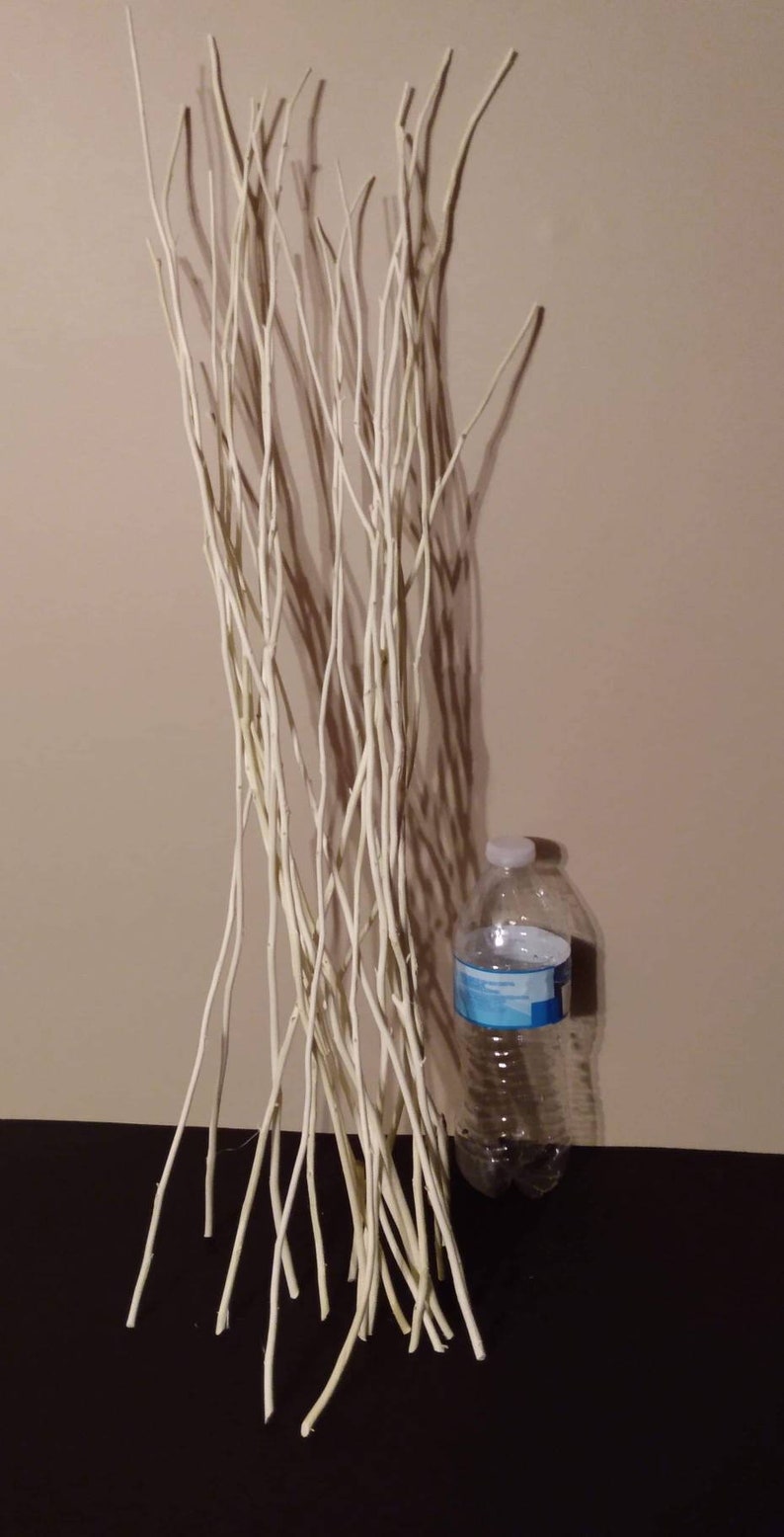 20 Stems, Sticks for Vase, Vase Filler Sticks, Sticks, Sticks for ...