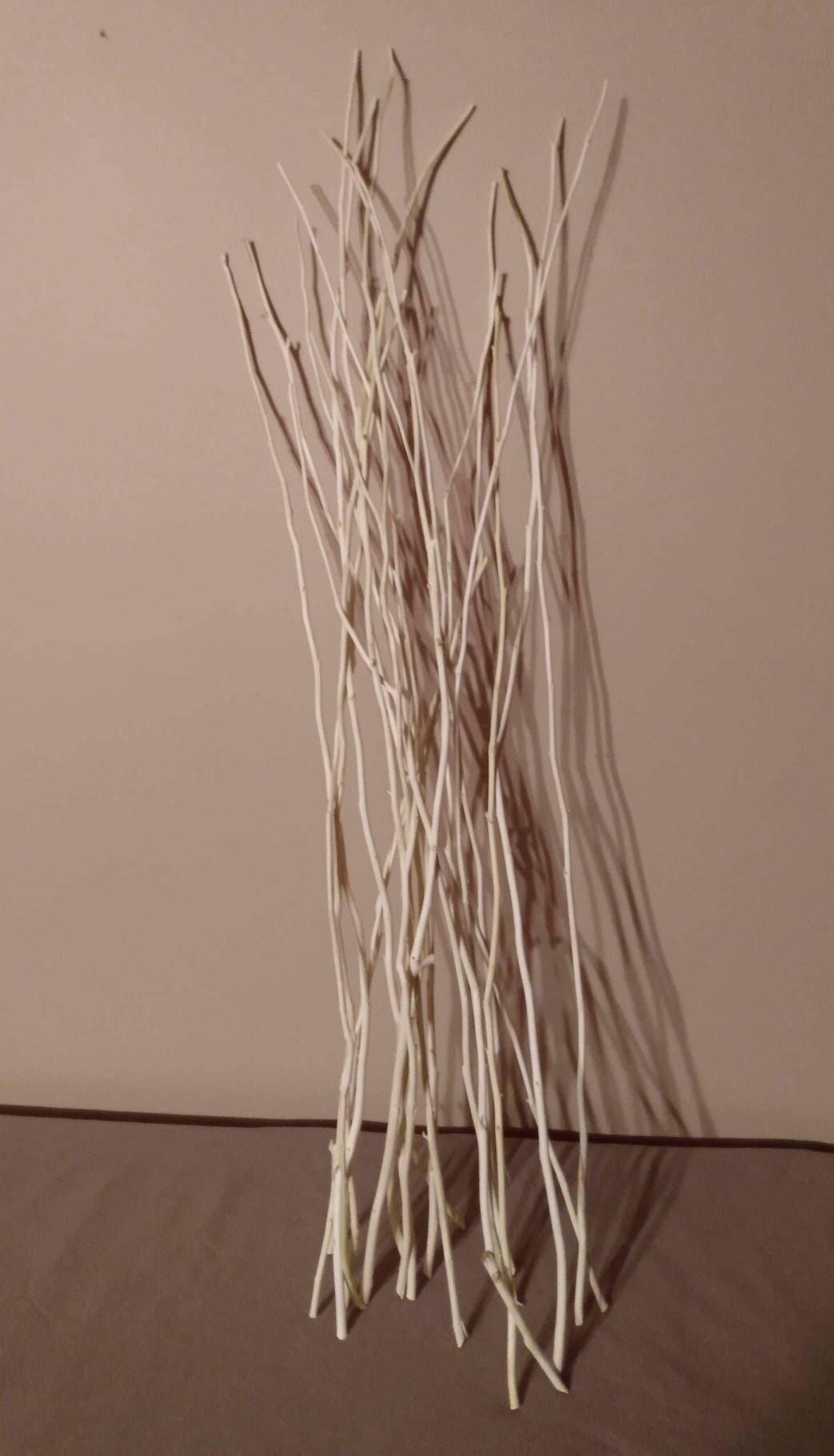 20 Stems, Sticks for Vase, Vase Filler Sticks, Sticks, Sticks for ...