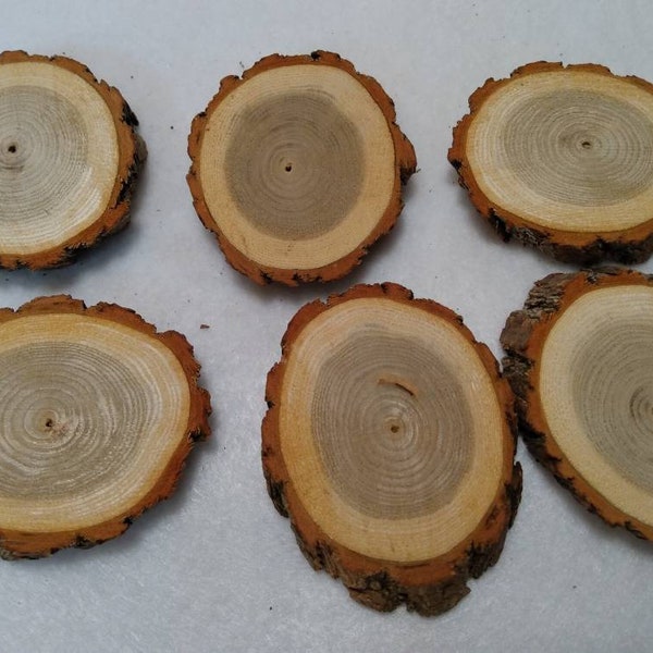 Tree Branch Slices - Etsy