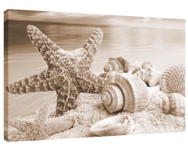 Starfish Sea Shells Beach Sandy Shore Canvas Wall Art Print - Etsy