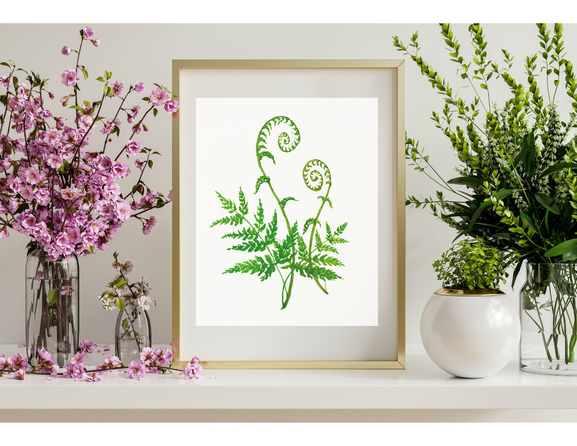 Fiddle-head Fern Botanical Watercolor Print - Etsy