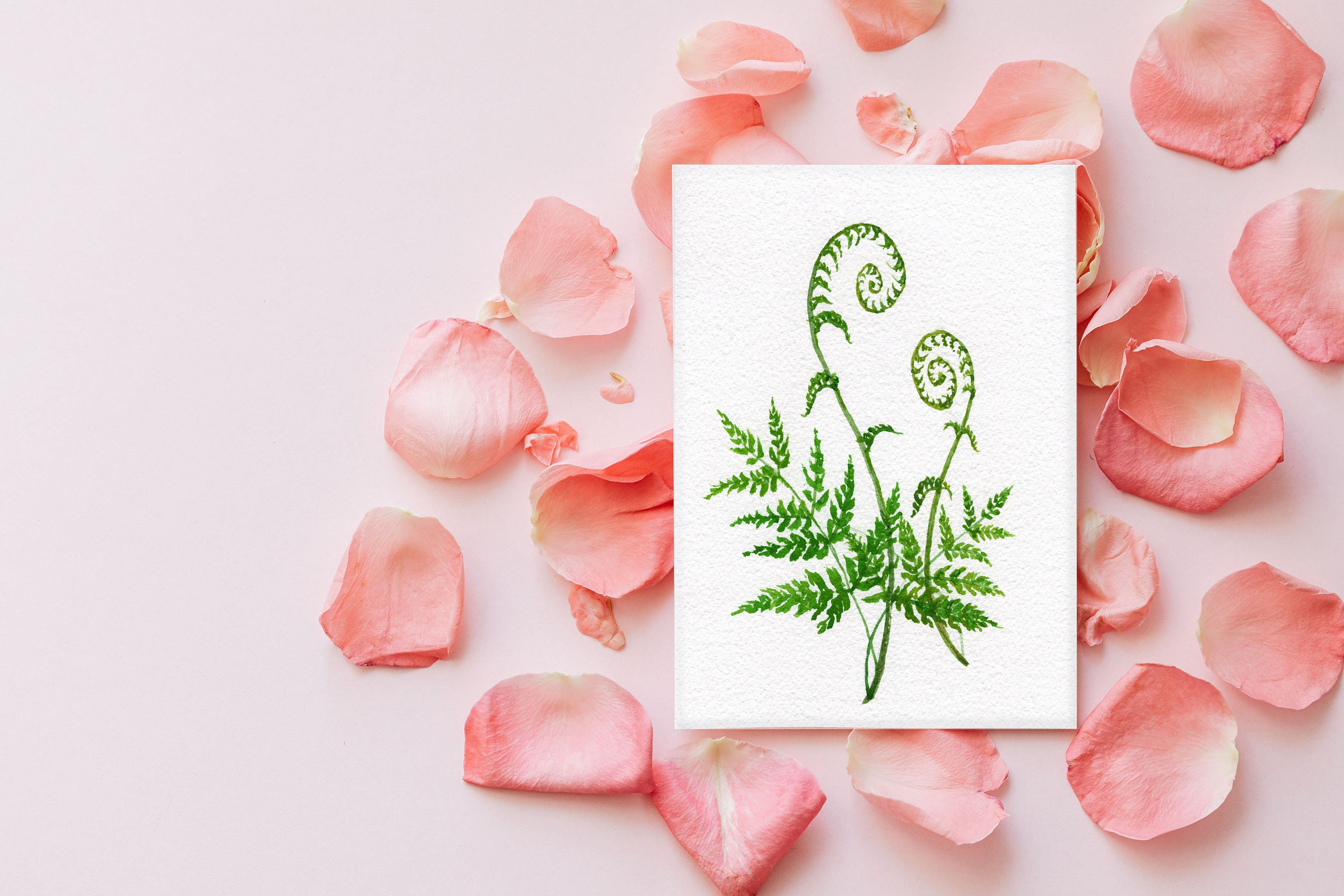 Fiddle-head Fern Botanical Watercolor Print - Etsy