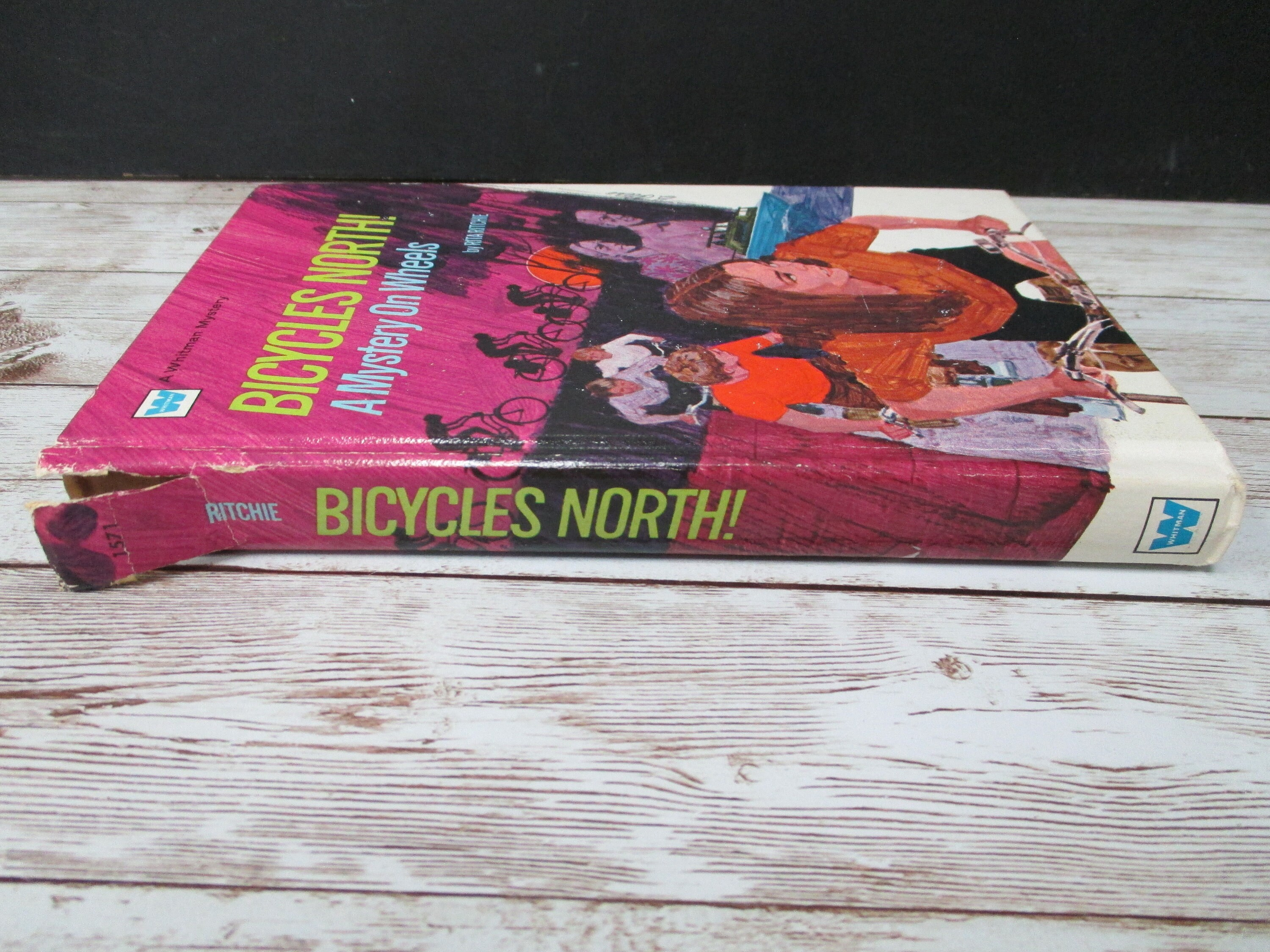 Bicycles North A Mystery on Wheels by Rita Ritchie, a 1973 Vintage ...