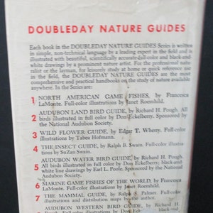 Vintage Collection of Books About Birds, Birds of America, the Book of ...