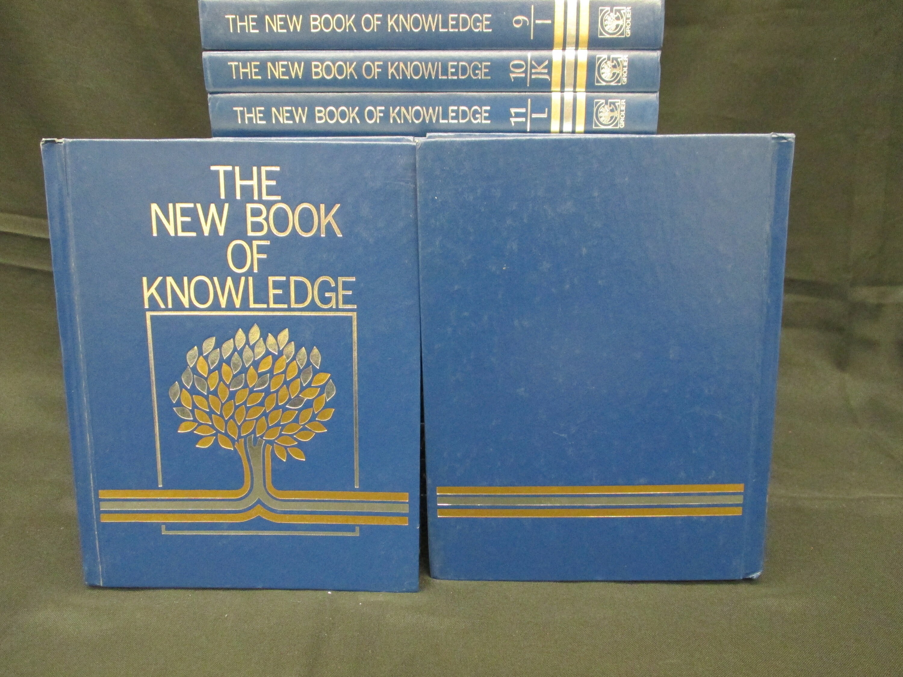 The New Book of Knowledge Book Set, Hardcover Blue Book Collection ...