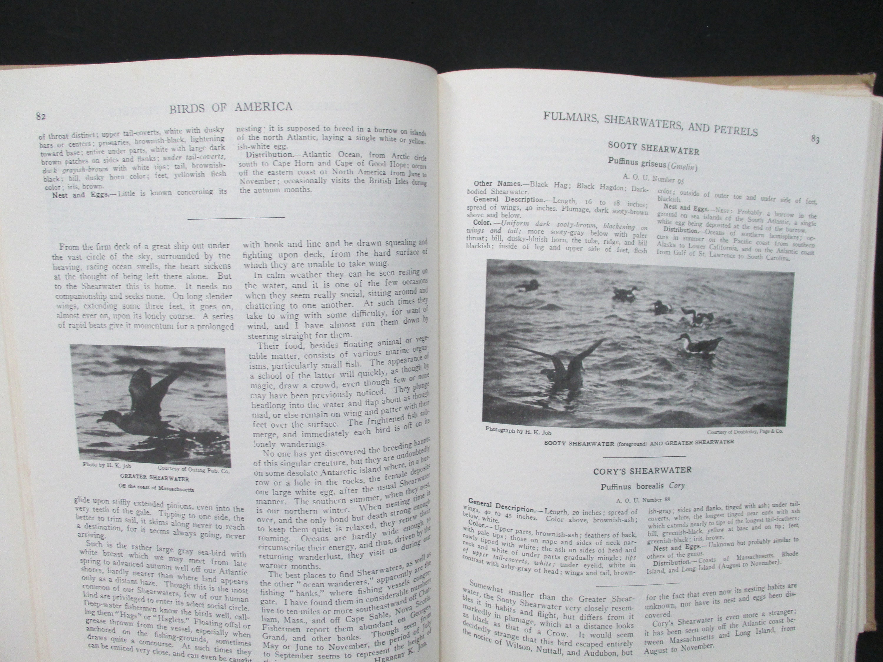 Vintage Collection of Books About Birds Birds of America the - Etsy
