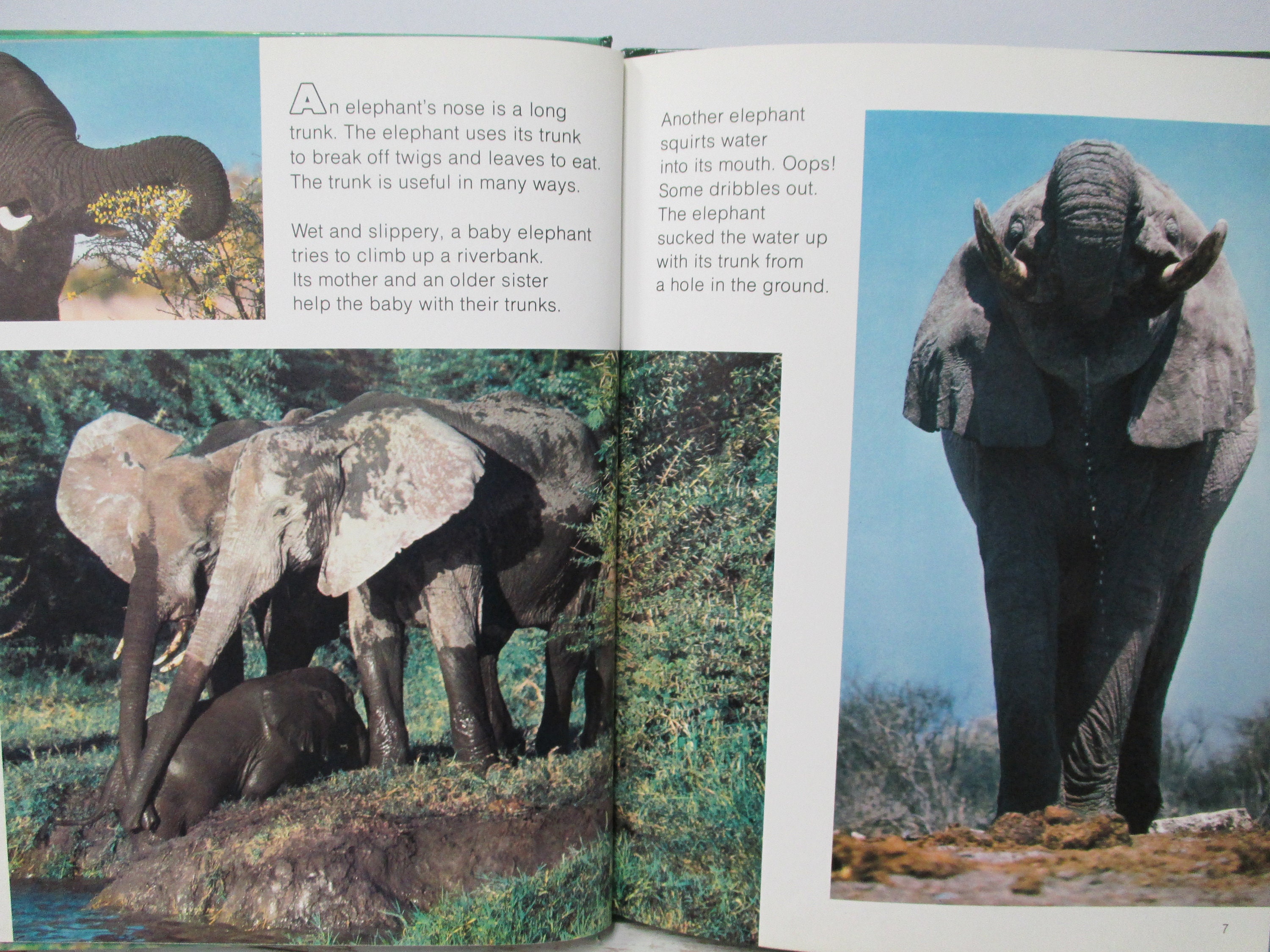 Africa's Animal Giants by Jane R Mccauley, National Geographic Society ...