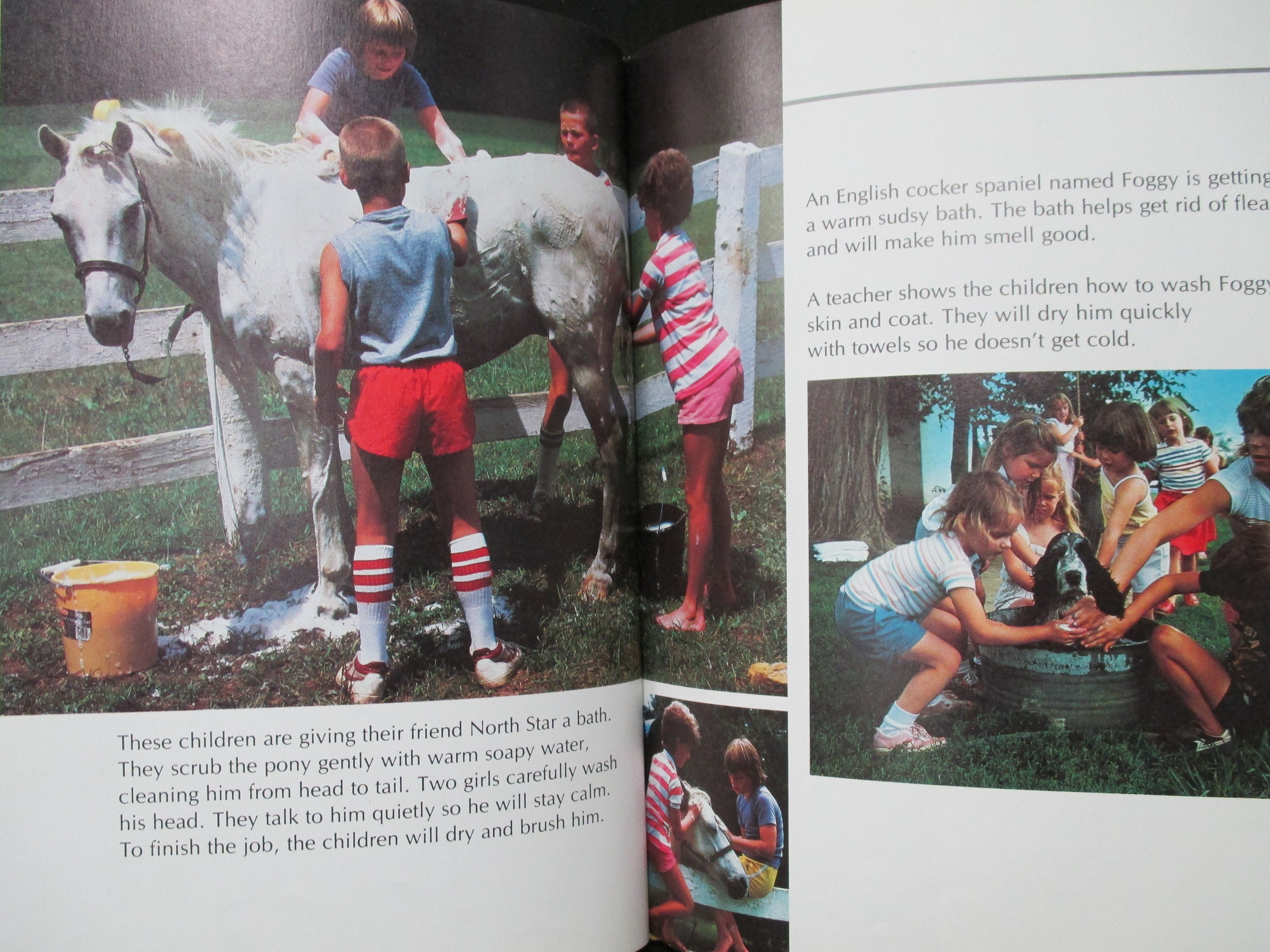 Helping Our Animal Friends National Geographic Society Books - Etsy