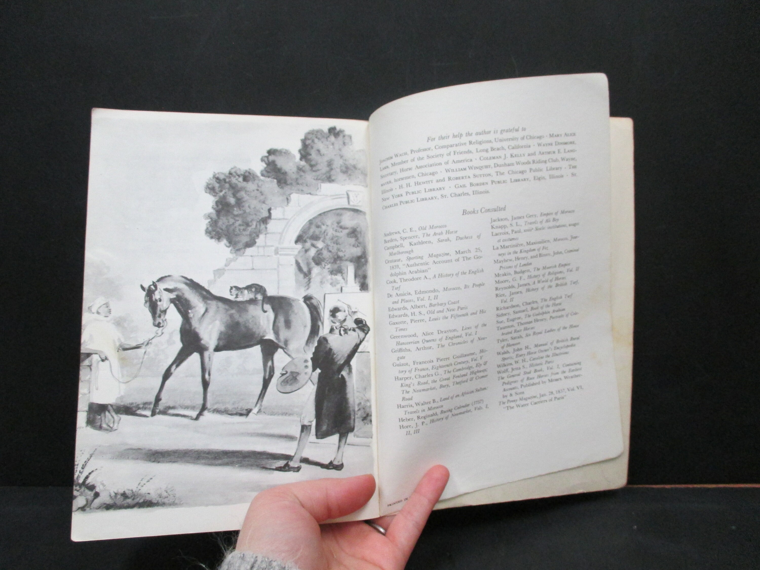 King of the Wind the Story of the Godolphin Arabian by - Etsy